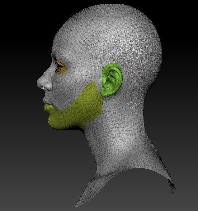 8 Head 3D Models Male And Female 3D model | CGTrader