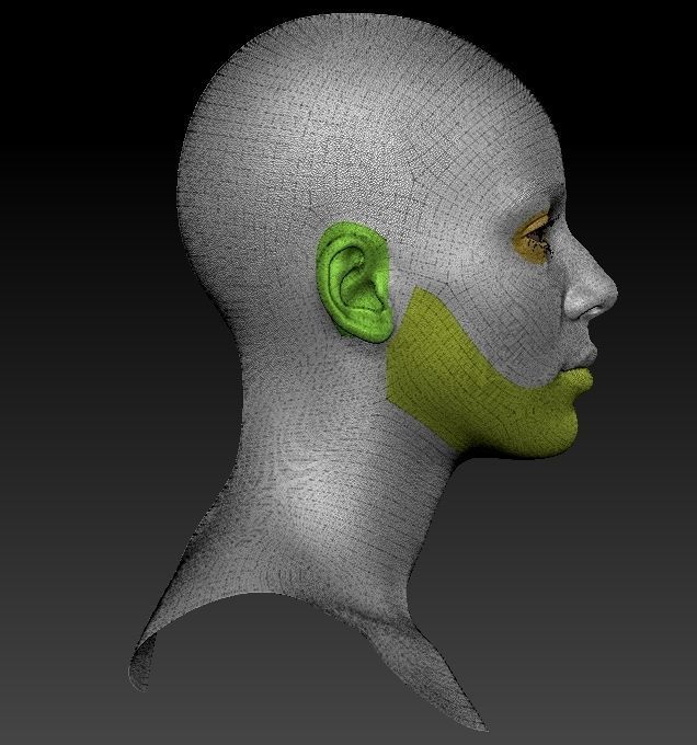 8 Head 3D Models Male And Female 3D model | CGTrader