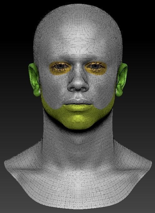 8 Head 3D Models Male And Female 3D model | CGTrader