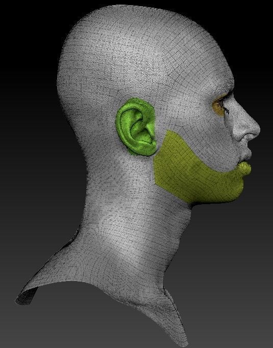 8 Head 3D Models Male And Female 3D model | CGTrader
