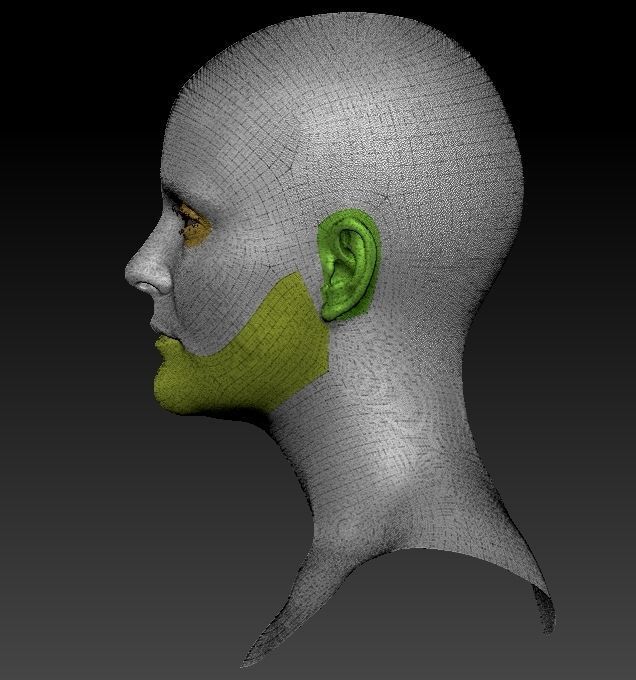 8 Head 3D Models Male And Female 3D model | CGTrader