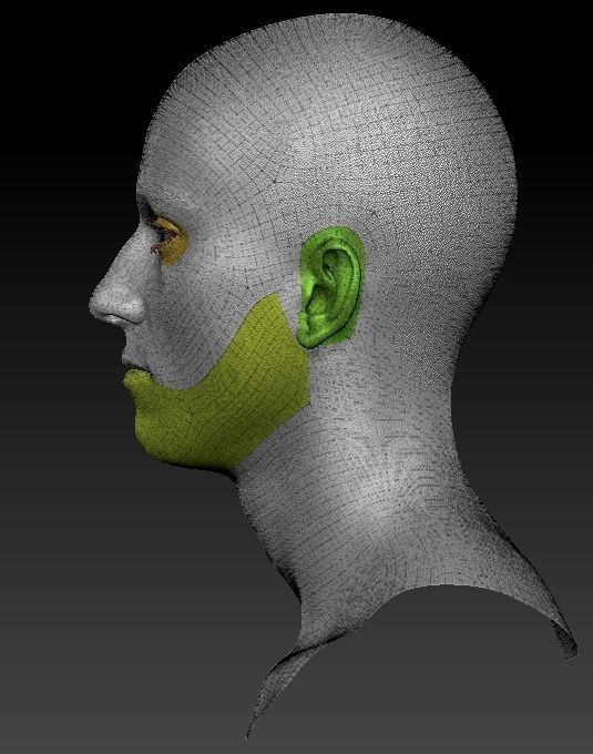 8 Head 3D Models Male And Female 3D model | CGTrader