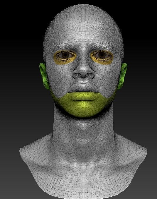 8 Head 3D Models Male And Female 3D model | CGTrader