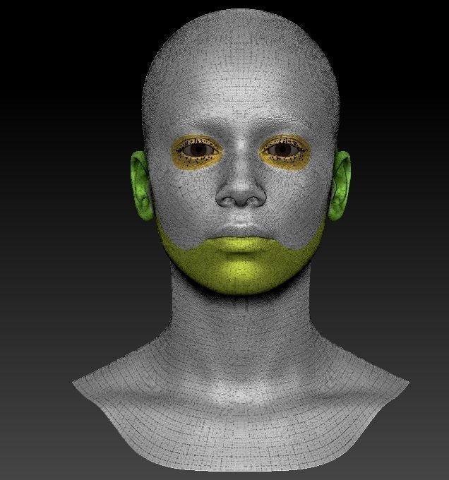 8 Head 3D Models Male And Female 3D model | CGTrader