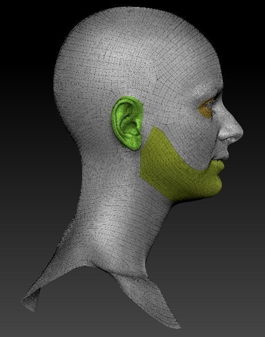 8 Head 3D Models Male And Female 3D model | CGTrader