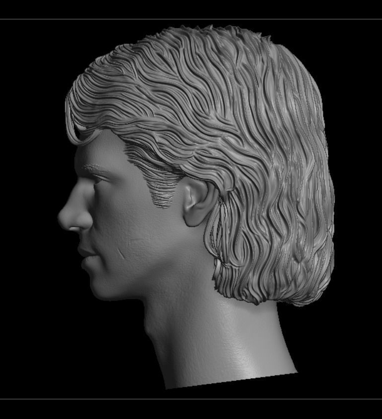 Anakin Skywalker Revenge of the Sith headsculpt 3D model 3D printable ...