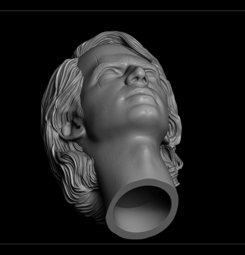 Anakin Skywalker Revenge of the Sith headsculpt 3D model 3D printable ...