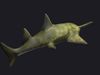 fish shark sawfish animal aquatic extinct ocean 3D model | CGTrader