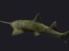 fish shark sawfish animal aquatic extinct ocean 3D model | CGTrader