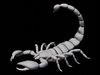 Scorpio Zodiac Mystical Scorpion Sculpture 3D model 3D printable | CGTrader