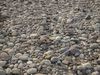 Ganges River Pebbles Texture Texture | CGTrader