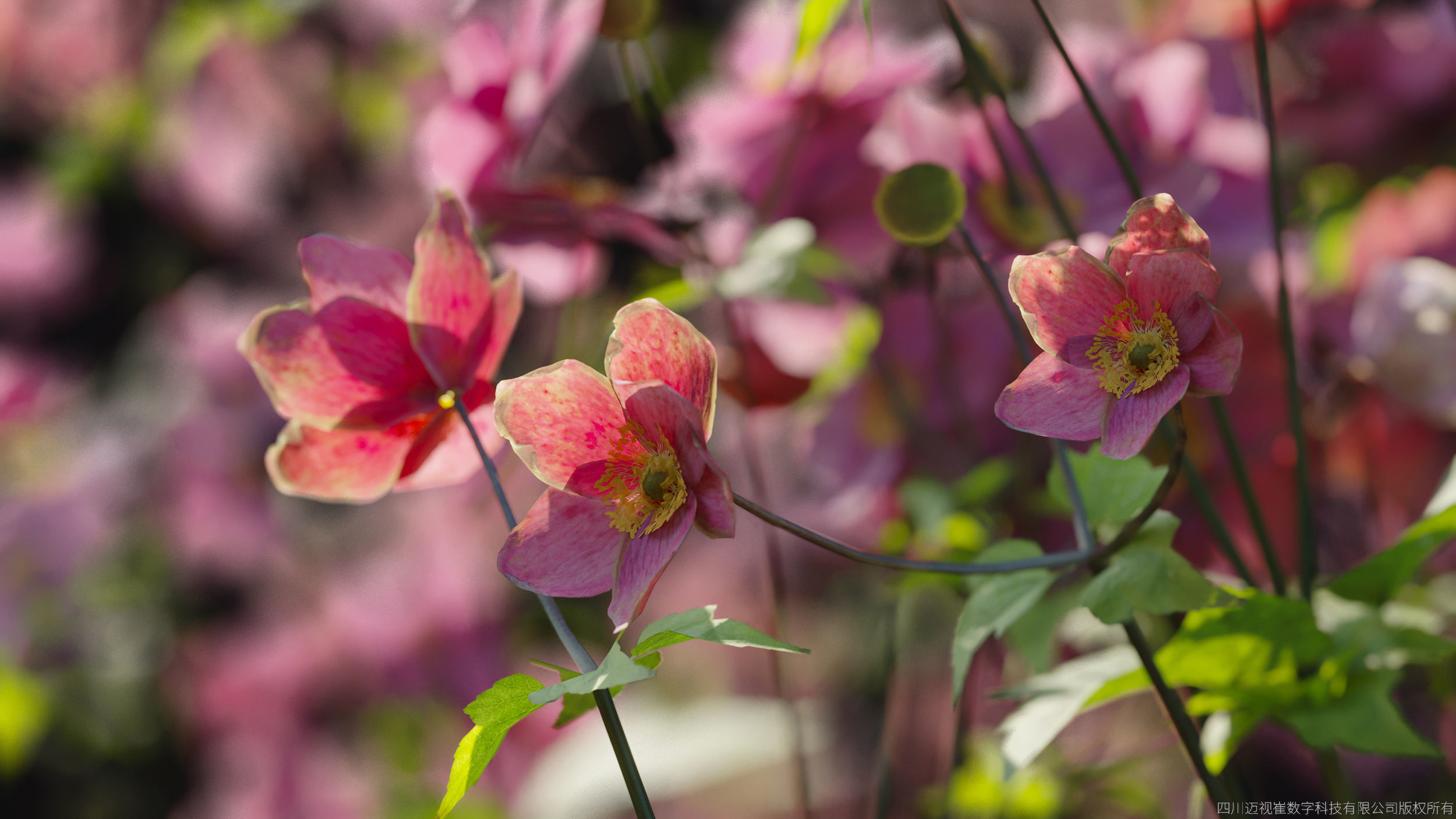 Maxtree Plant Models Vol 140 - Mesh 3D model | CGTrader