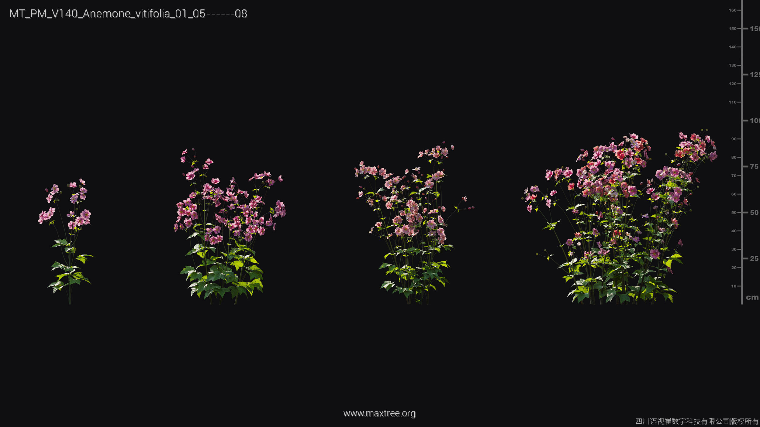 Maxtree Plant Models Vol 140 - Mesh 3D model | CGTrader