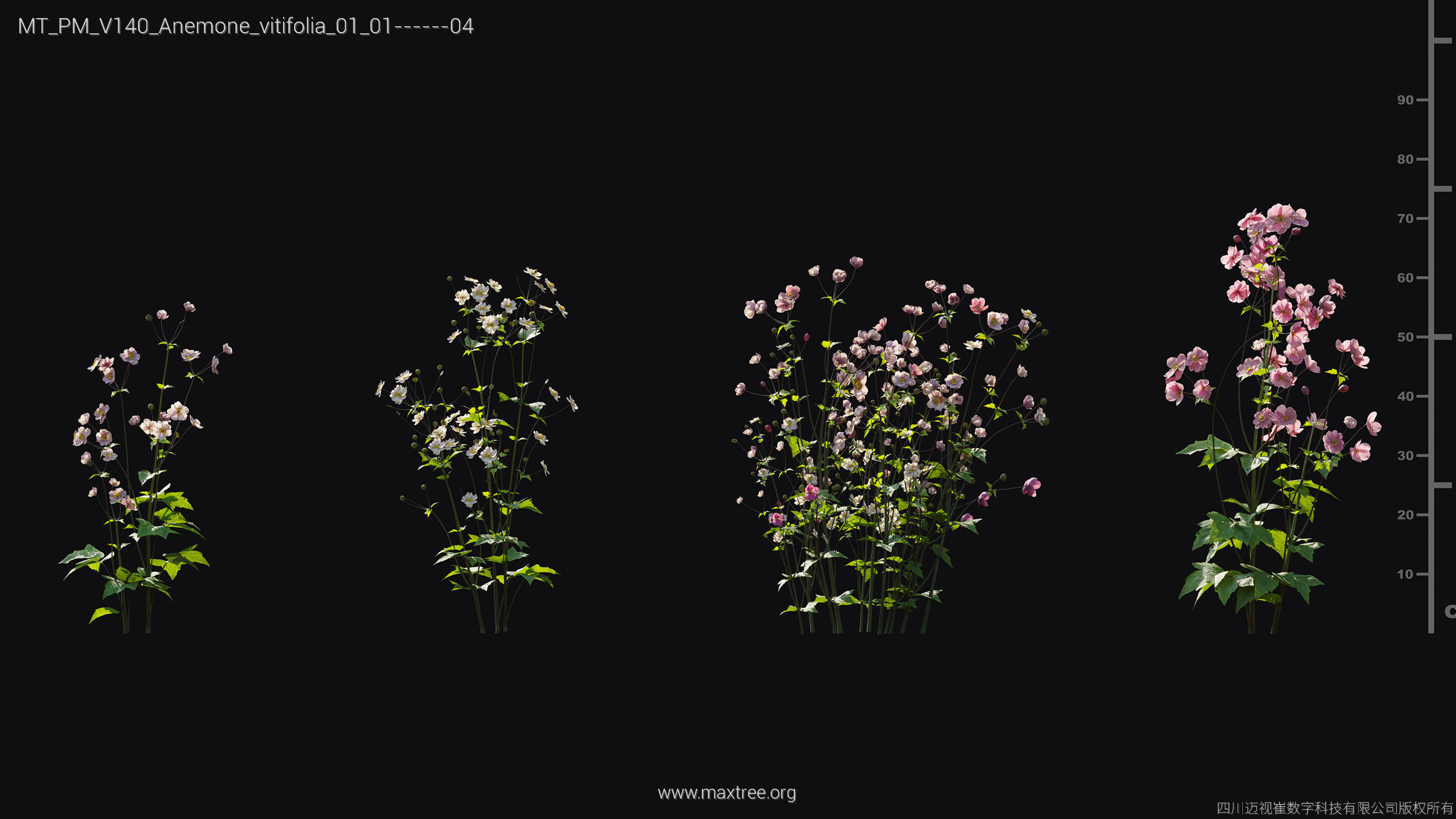 Maxtree Plant Models Vol 140 - Mesh 3D model | CGTrader