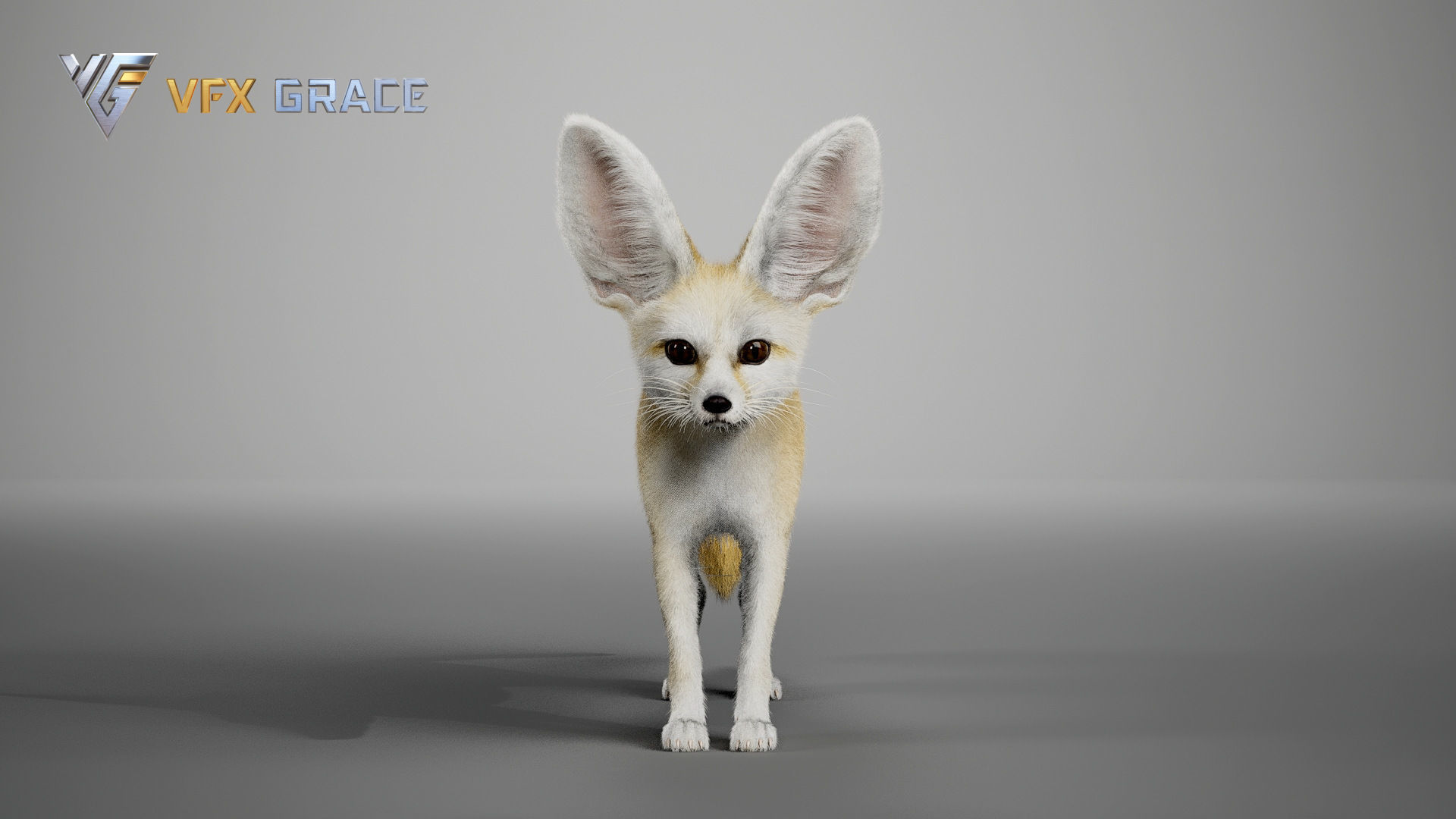 Fennec UE Character Asset 3D model animated rigged | CGTrader