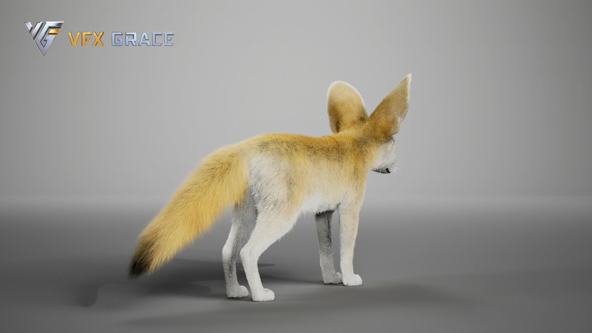 Fennec UE Character Asset 3D model animated rigged | CGTrader
