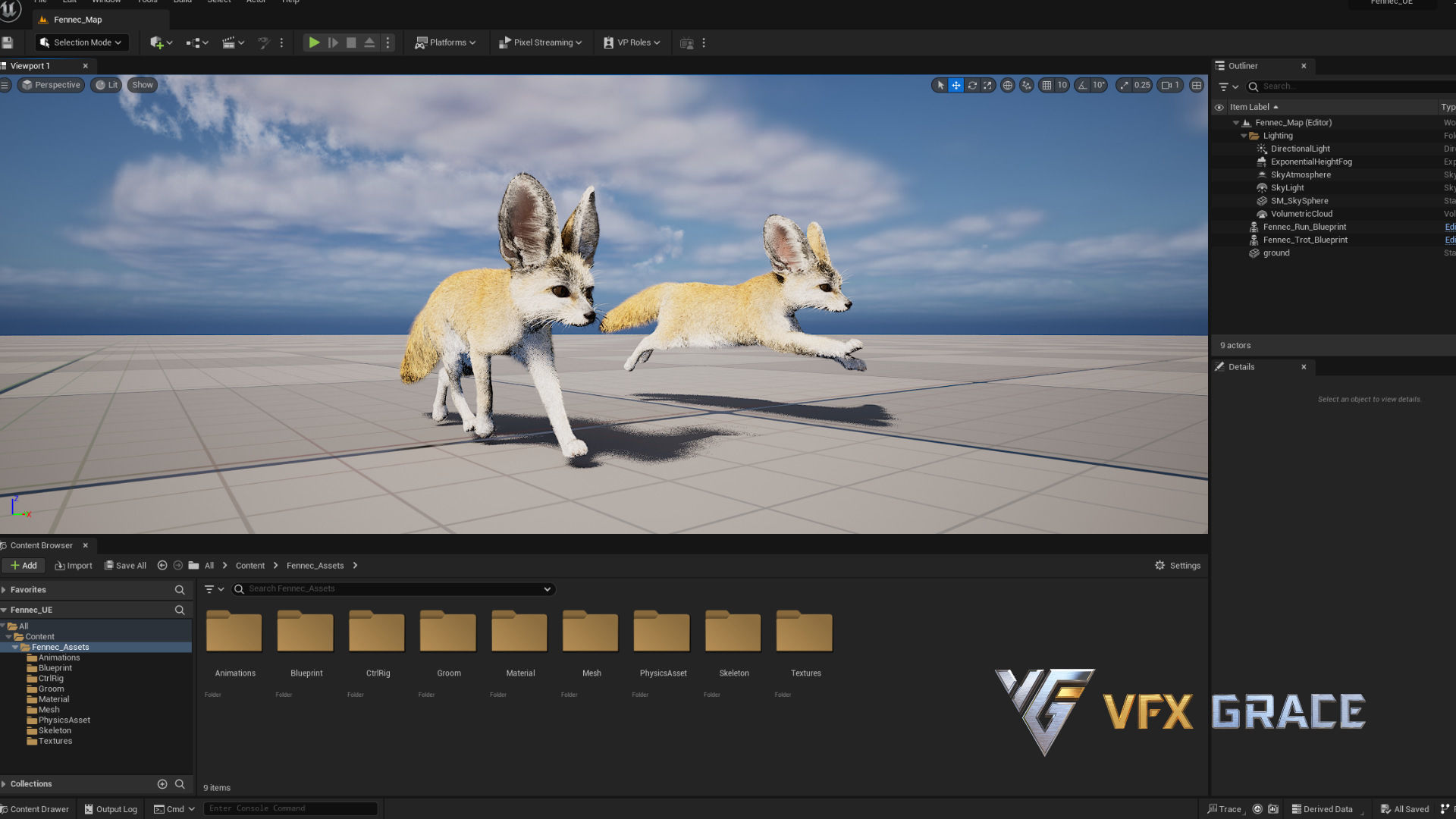 Fennec UE Character Asset 3D model animated rigged | CGTrader