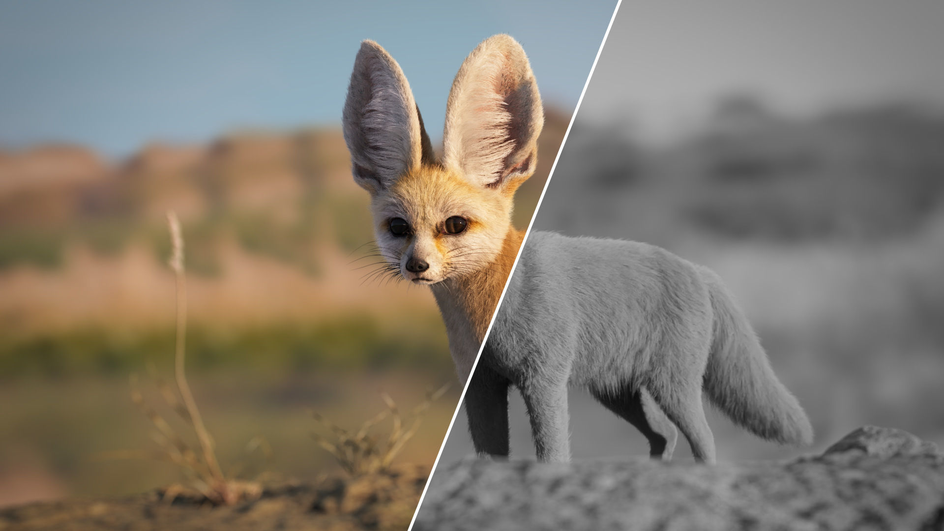 Fennec UE Character Asset 3D model animated rigged | CGTrader