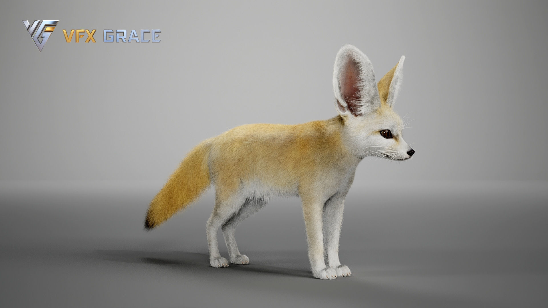 Fennec UE Character Asset 3D model animated rigged | CGTrader