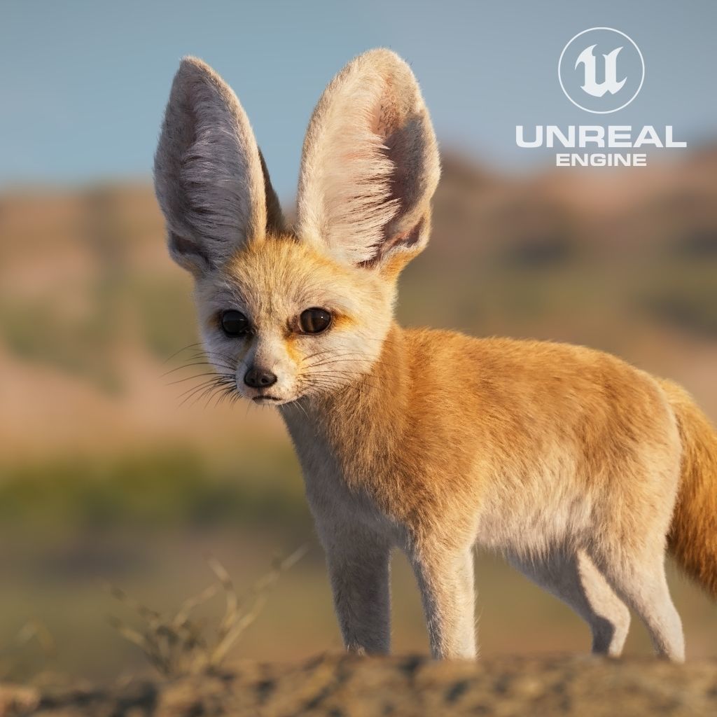 Fennec UE Character Asset 3D model animated rigged | CGTrader