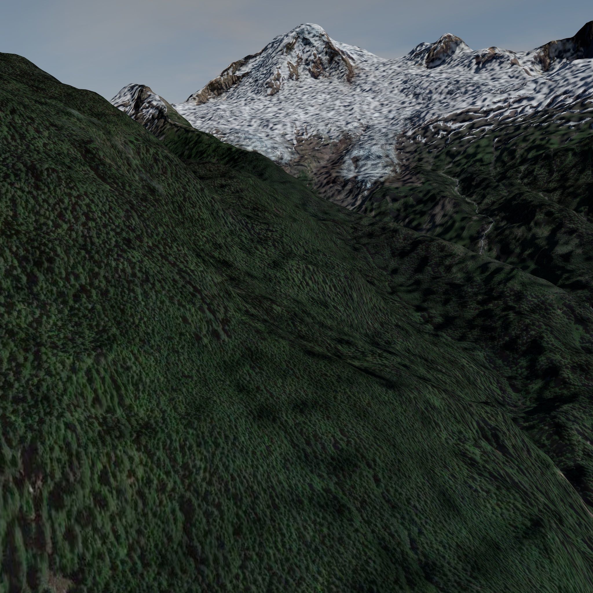 Relief map of Mount Baker Volcano Washington 3D model | CGTrader