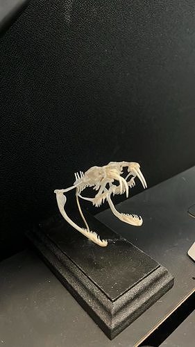 Snake skull 3D model 3D printable | CGTrader