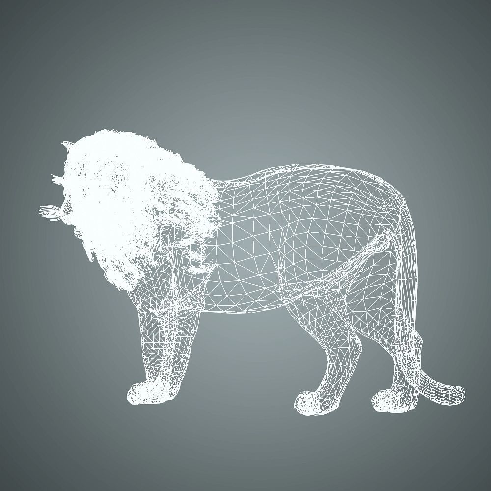 3D model lion with animation VR / AR / low-poly | CGTrader