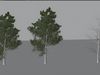 3D model Realistic green tree VR / AR / low-poly | CGTrader