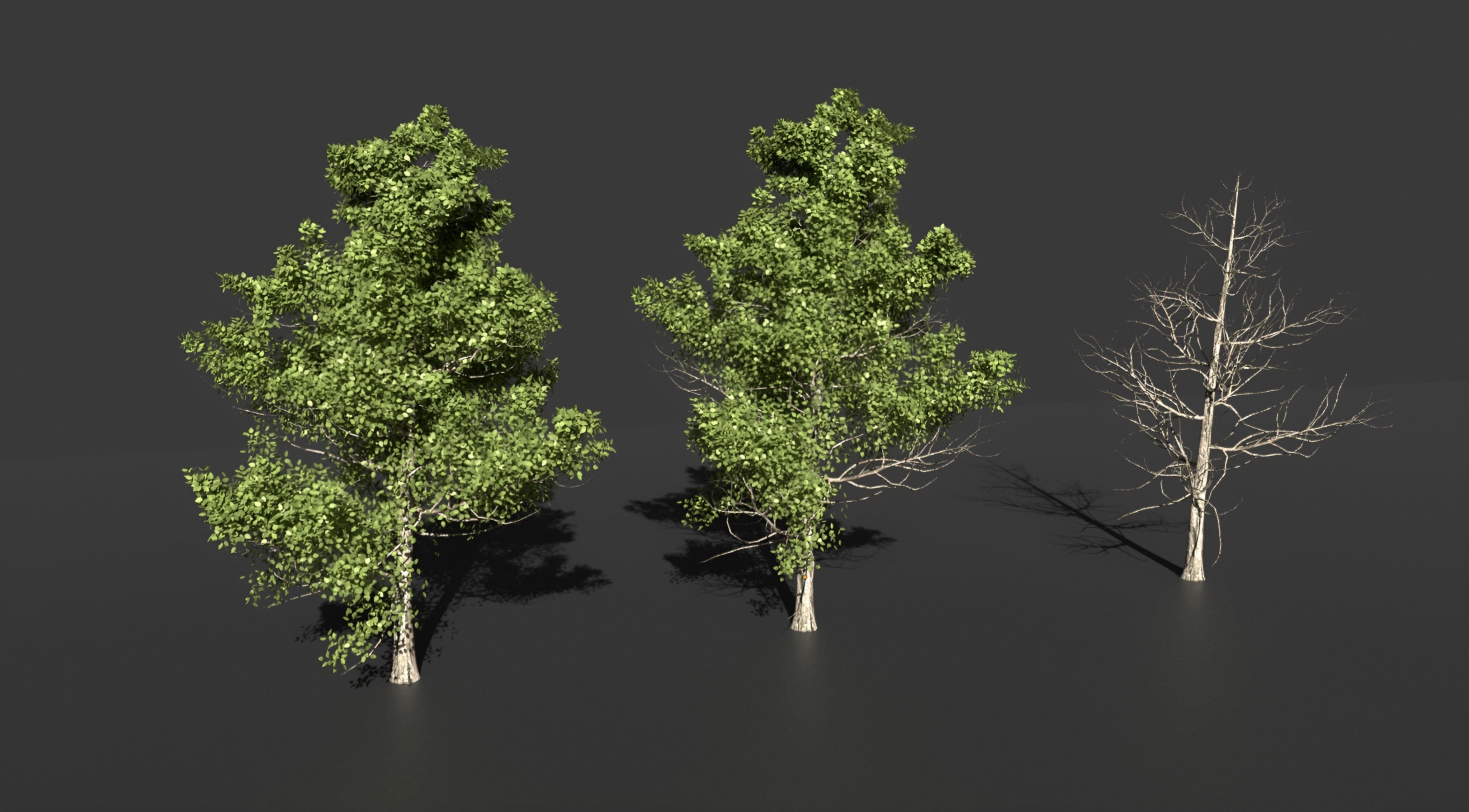 3D model Realistic green tree VR / AR / low-poly | CGTrader