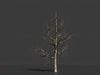 3D model Realistic green tree VR / AR / low-poly | CGTrader