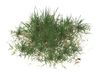 3D model Realistic Game Ready Grass 03 VR / AR / low-poly | CGTrader