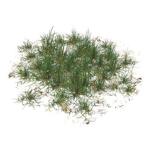 3D model Realistic Game Ready Grass 08 VR / AR / low-poly | CGTrader