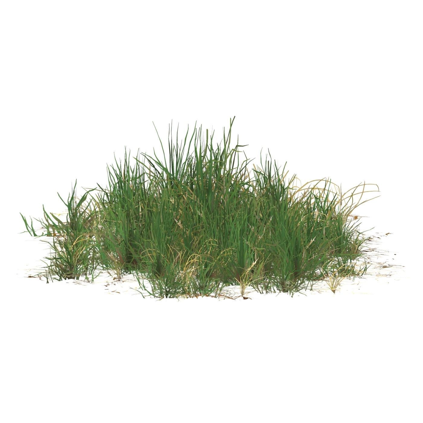 3D model Realistic Game Ready Grass 09 VR / AR / low-poly | CGTrader