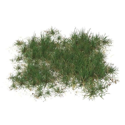 3D model Realistic Game Ready Grass 11 VR / AR / low-poly | CGTrader