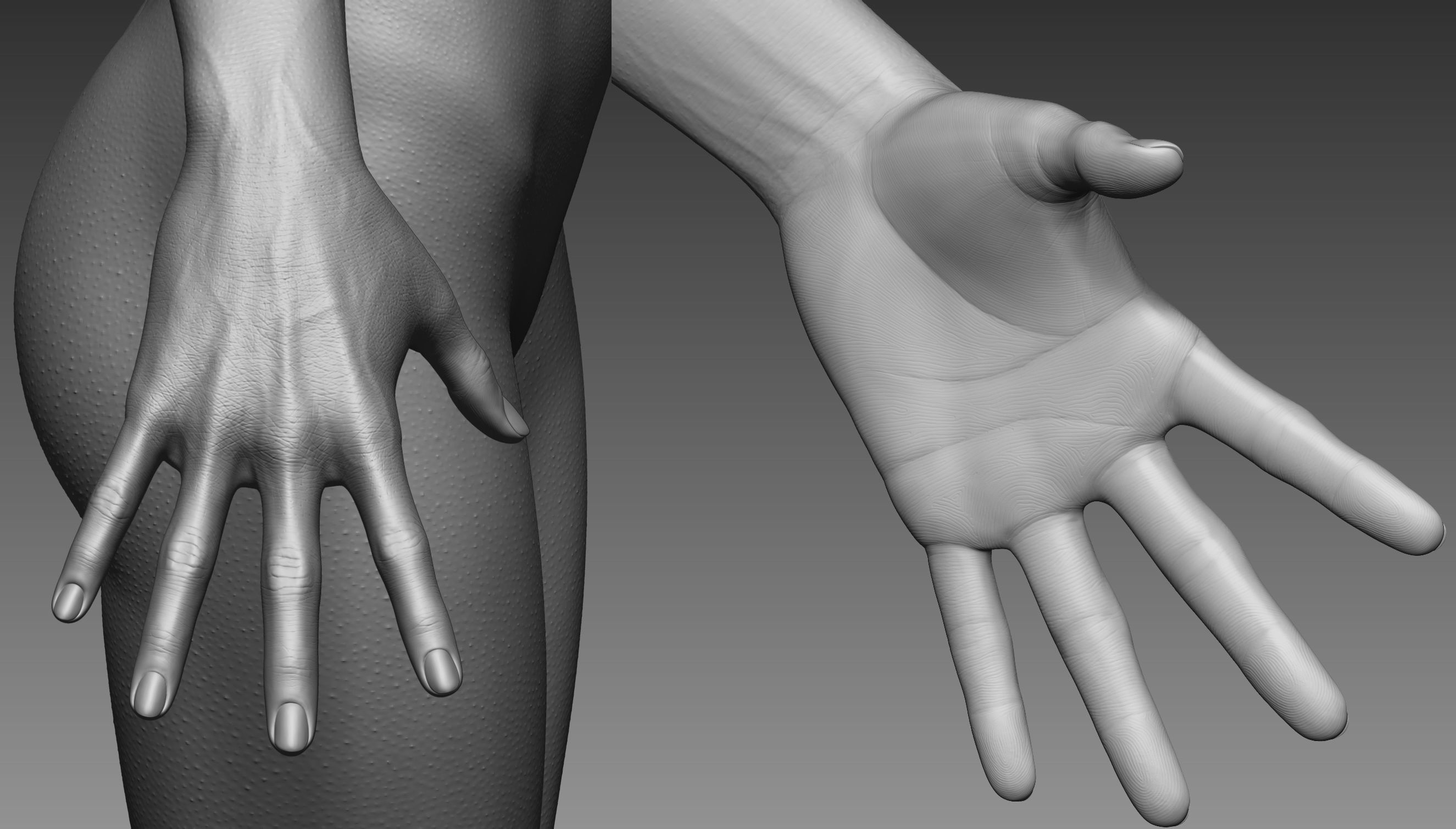 Full body caucasian female 3d model 3D model | CGTrader