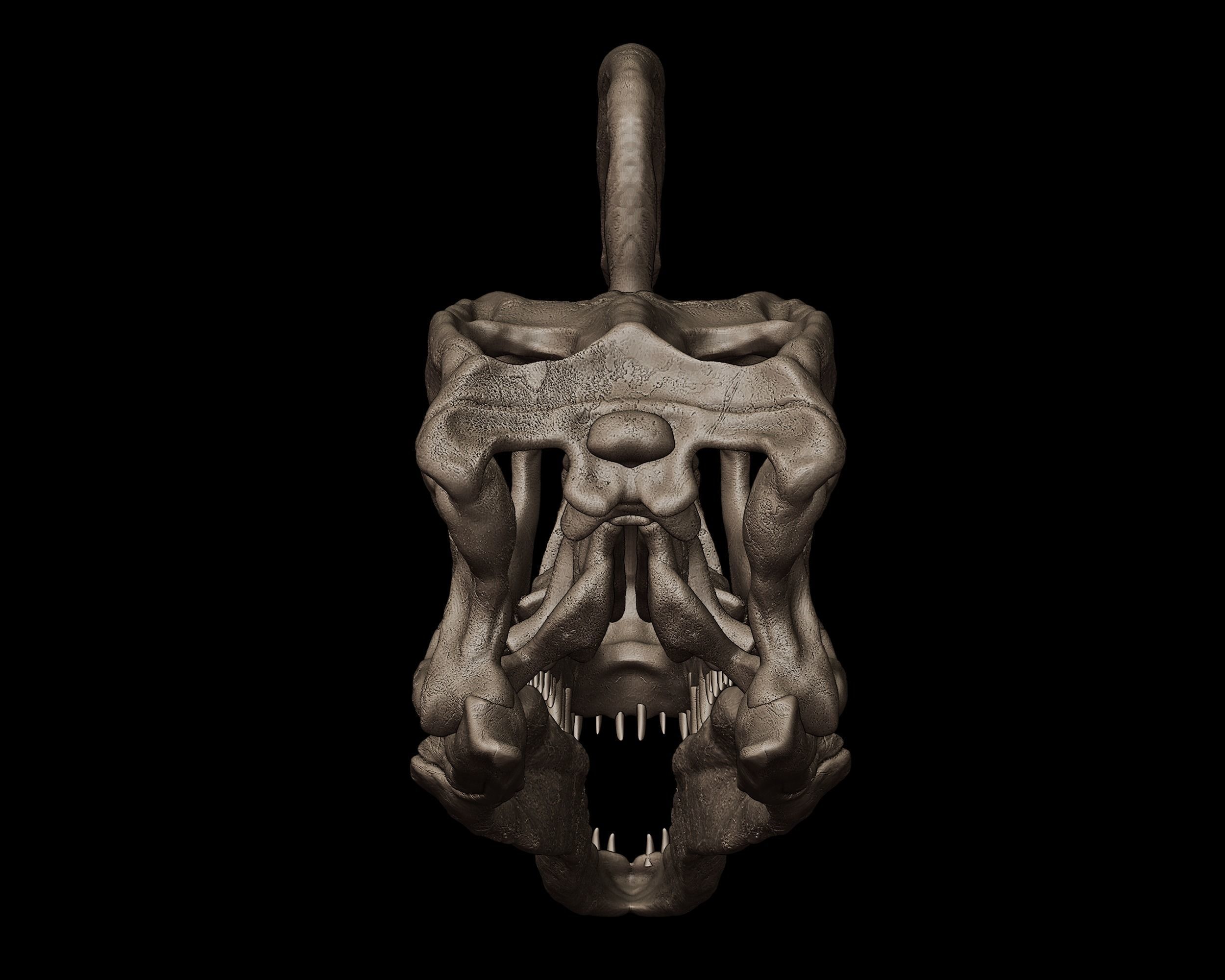 Proceratosaurus Skull 3D model 3D printable | CGTrader