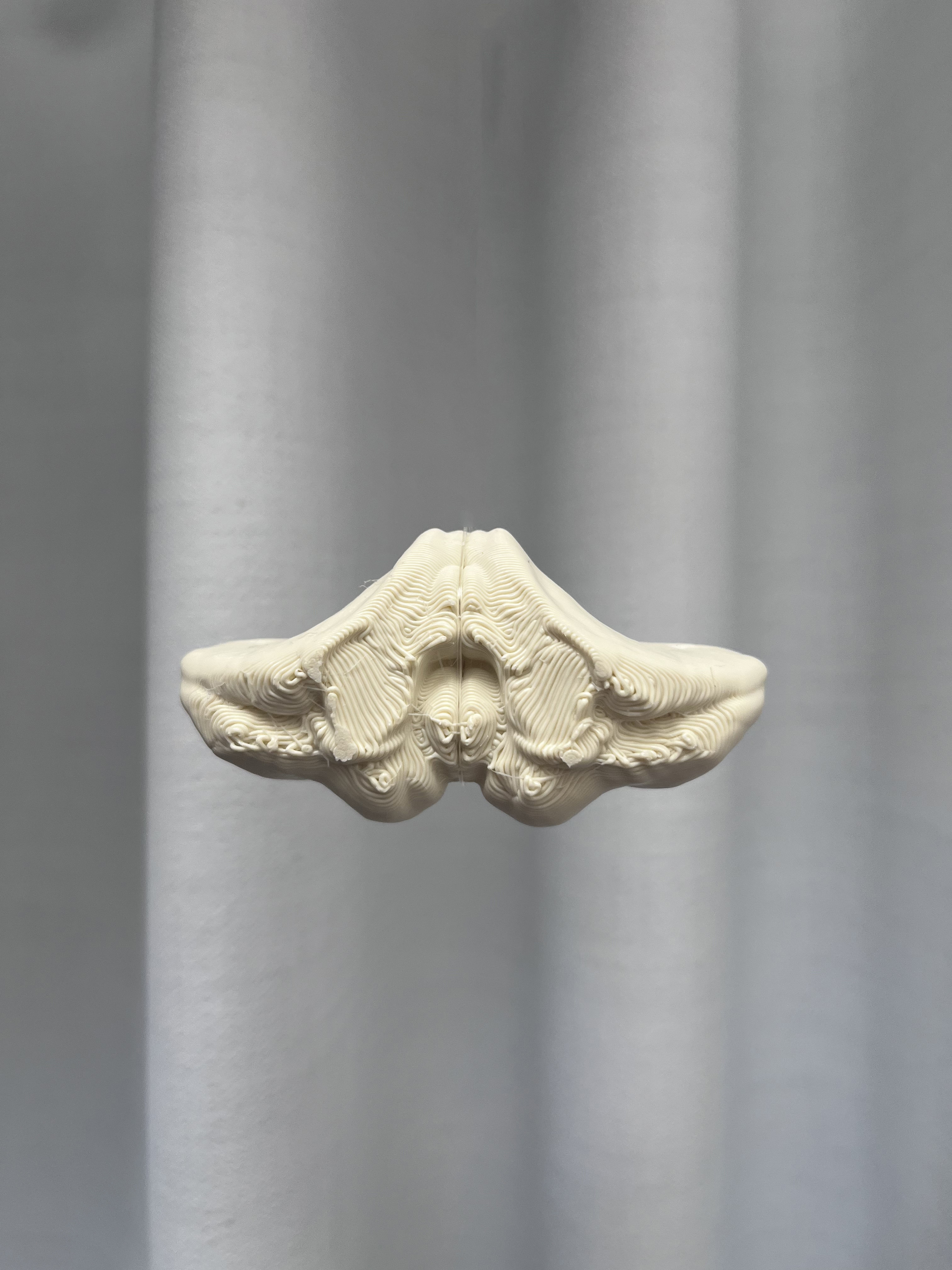 FULL BRAIN ANATOMY 3D model 3D printable | CGTrader