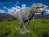 TREX ATC Paleo Art 3D model | CGTrader