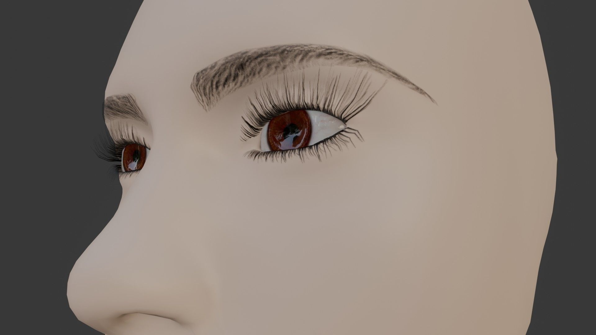 3D model Eyelash Asset VR / AR / low-poly | CGTrader