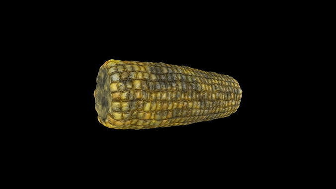 VEGS-002 Roasted Corn 3D model | CGTrader