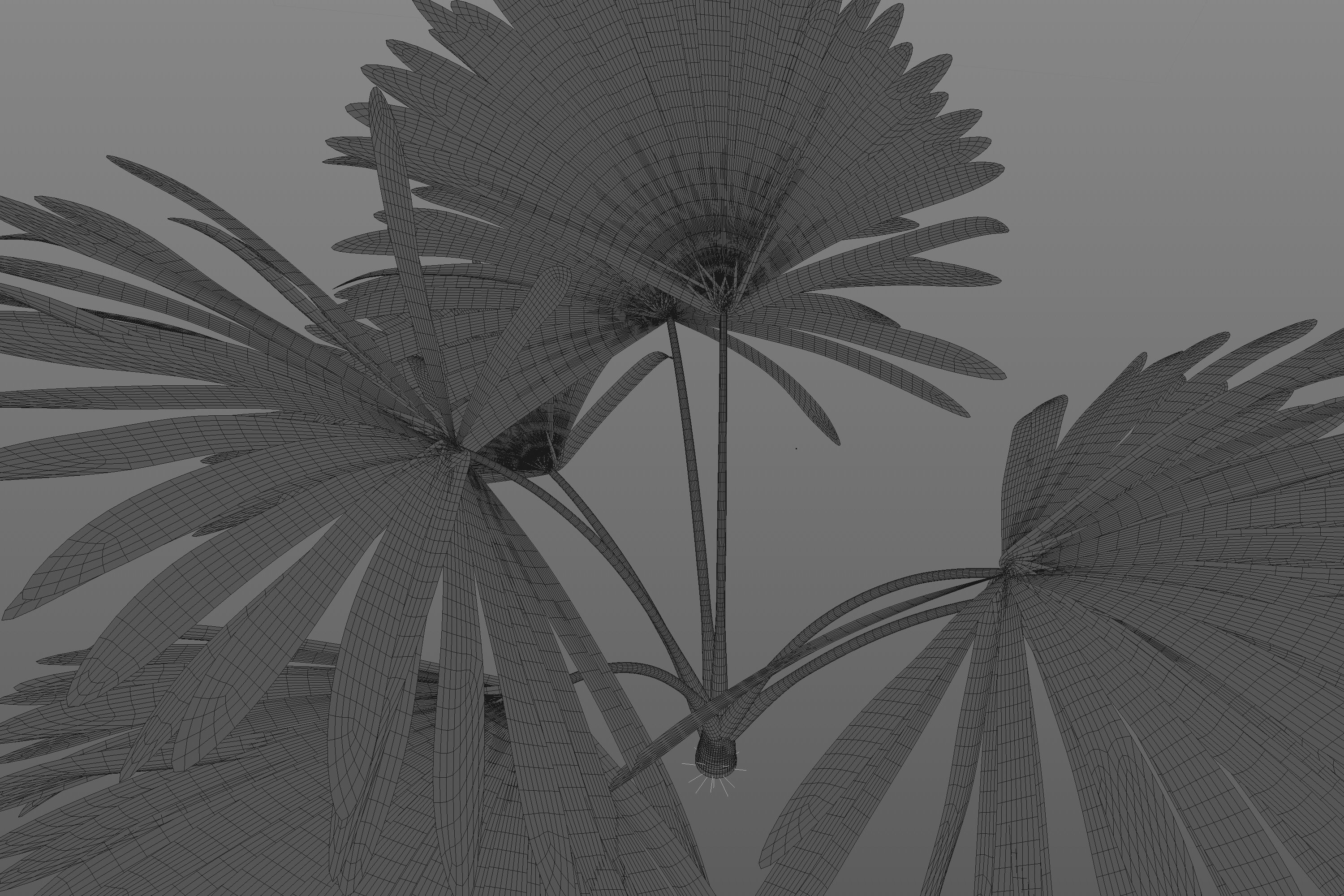 Palm Tree Leaves 3D model | CGTrader