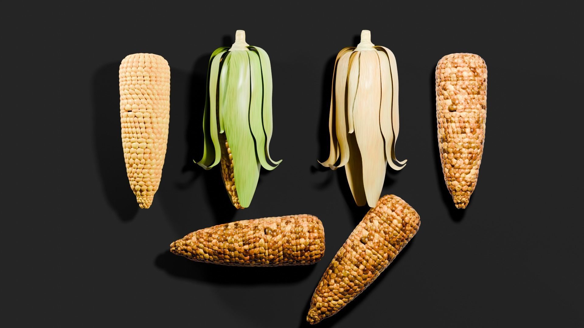 3D model Realistic roasted Corn maize pbr VR / AR / low-poly | CGTrader