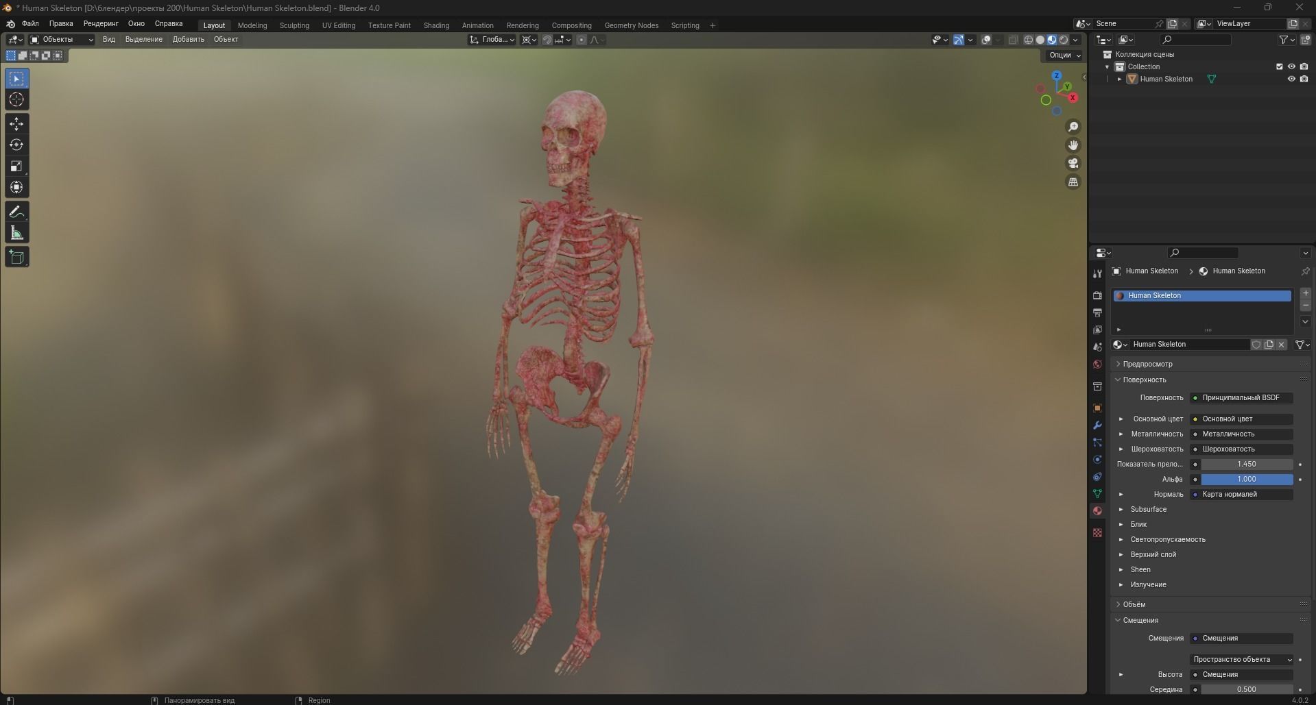 3D model Human Skeleton VR / AR / low-poly | CGTrader