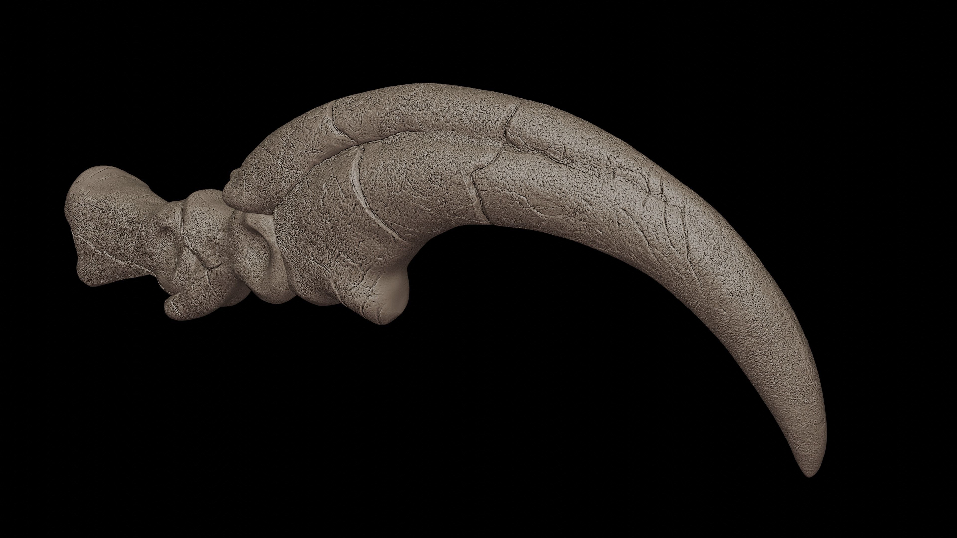 Velociraptor Killing Claw 3D model 3D printable | CGTrader