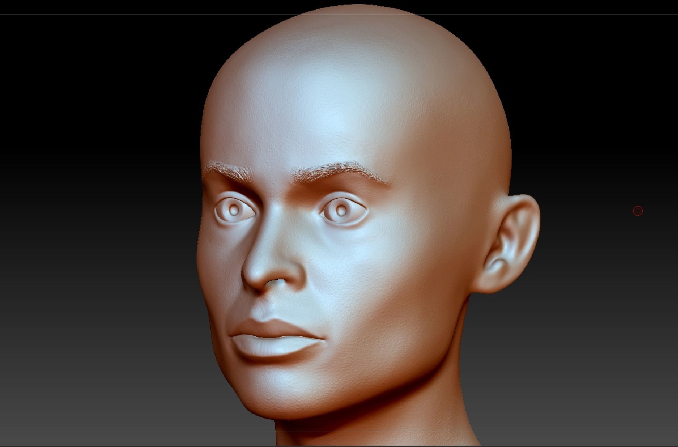 Helena Bonham Carter head Bellatrix Lestrange bust 3D model 3D ...