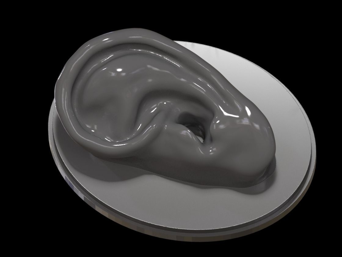 The ear 3D model 3D printable | CGTrader