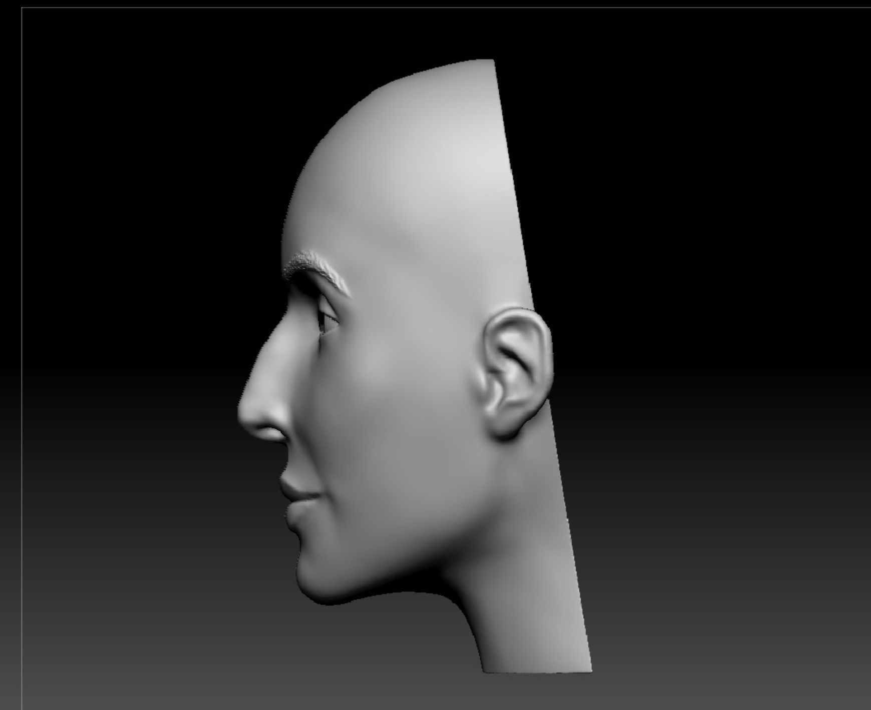 Singer Cher head 3D model 3D printable | CGTrader