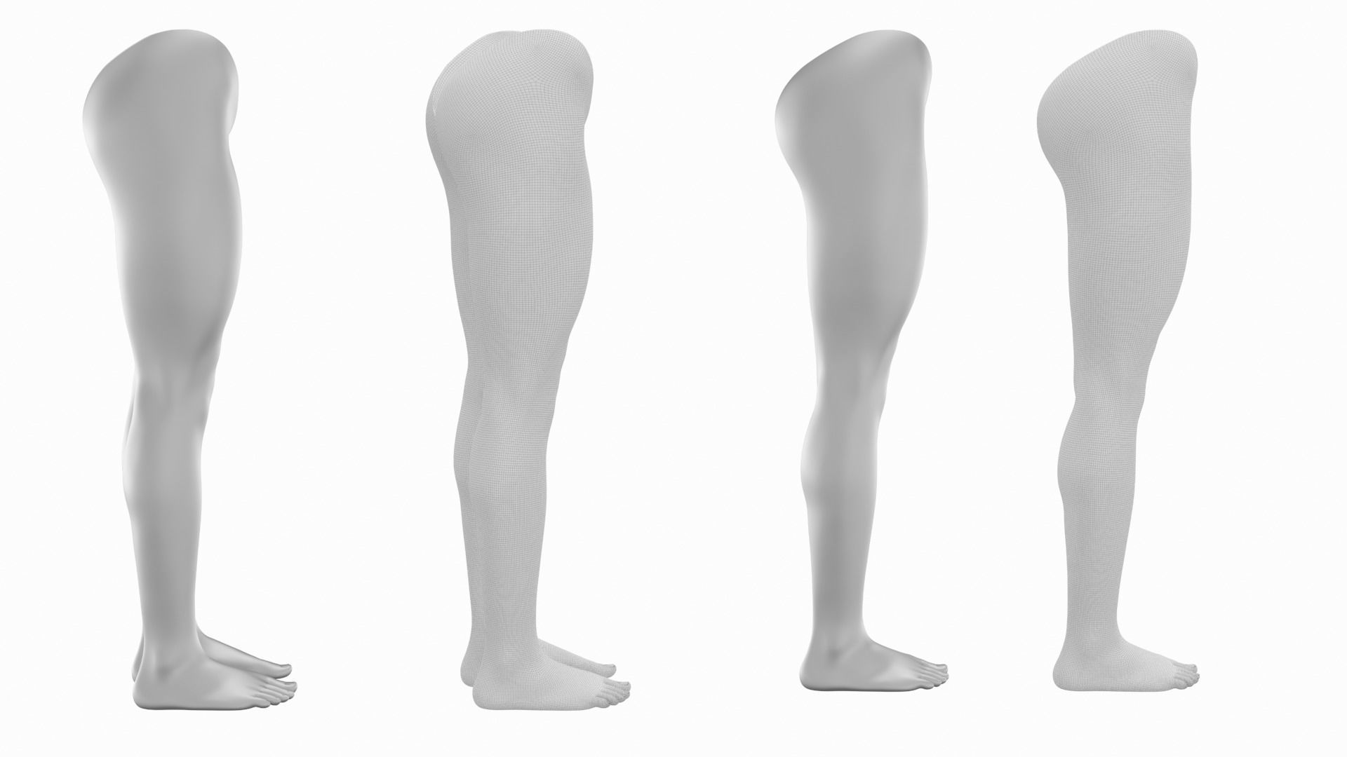 Female Legs Anatomical Base Mesh 3D model | CGTrader