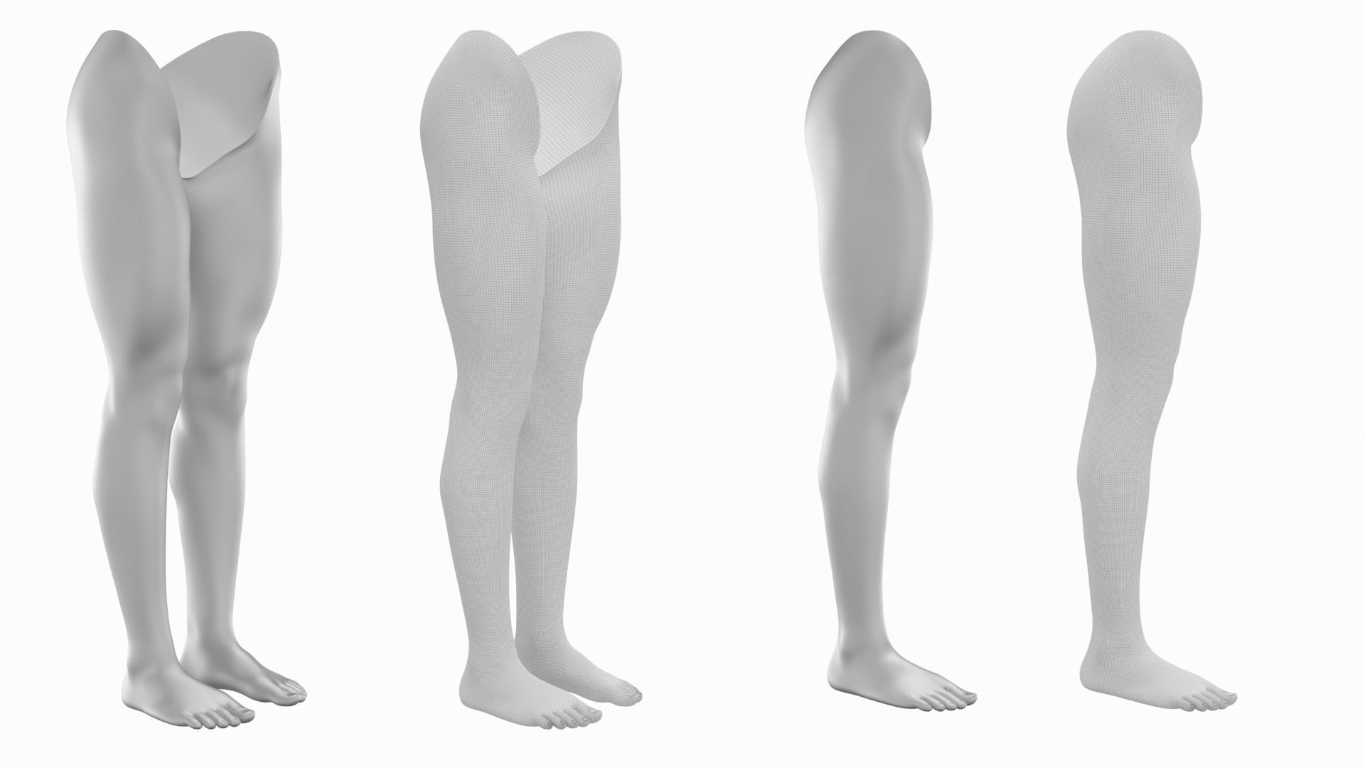 Female Legs Anatomical Base Mesh 3D model | CGTrader