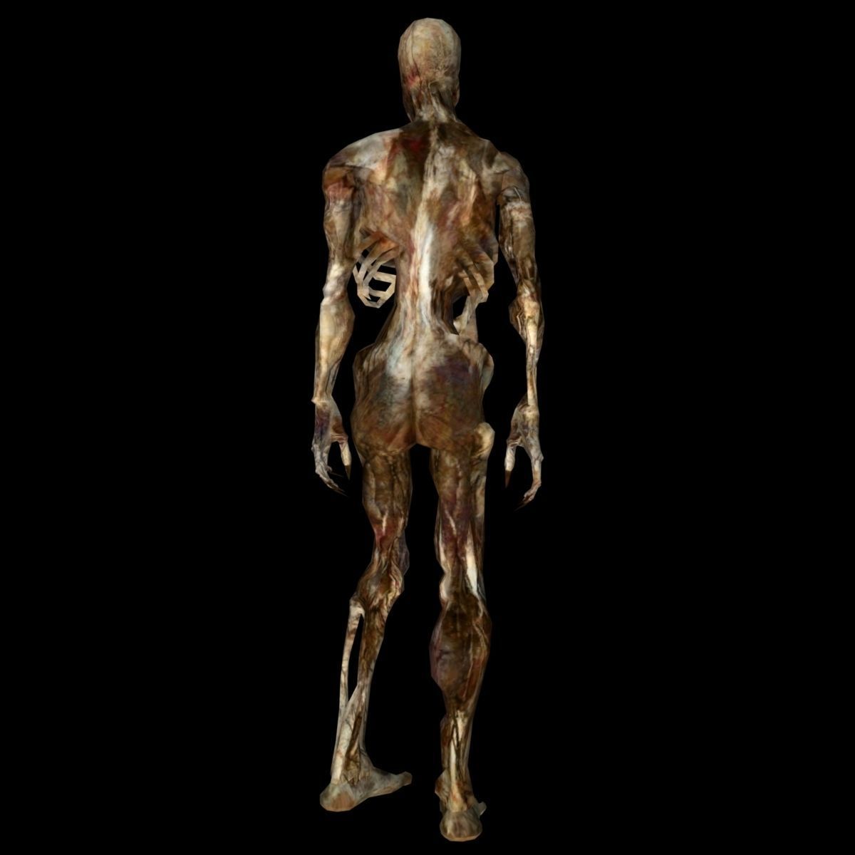 3D model zombe skeleton ghost VR / AR / low-poly | CGTrader